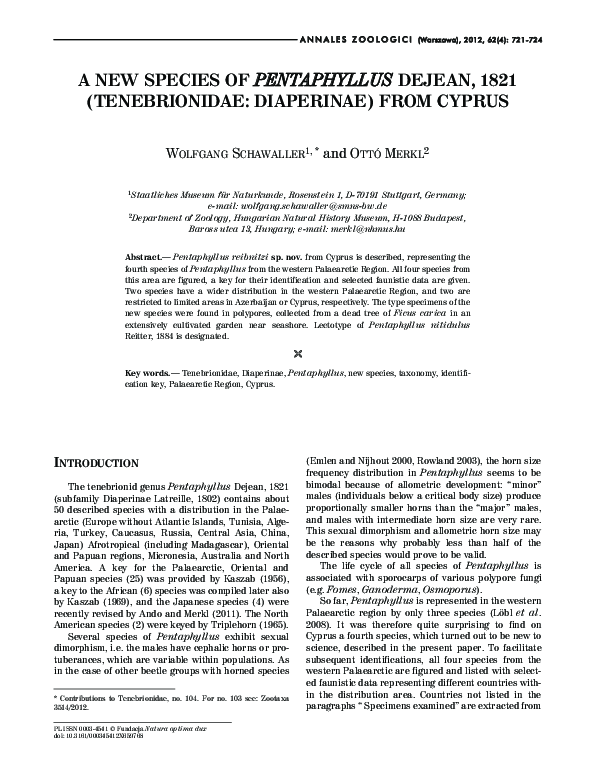 (PDF) A New Species of Pentaphyllus Dejean, 1821 (Tenebrionidae ...