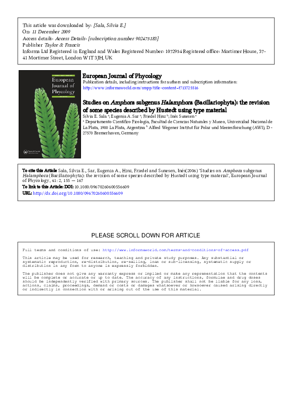 (PDF) Studies on Amphora subgenus Halamphora (Bacillariophyta): the ...