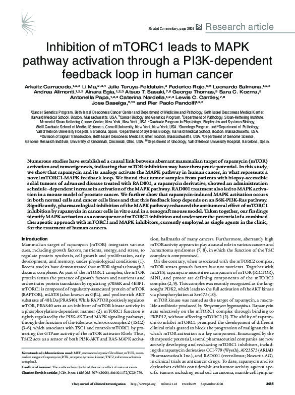 (PDF) Inhibition of mTORC1 leads to MAPK pathway activation through a ...