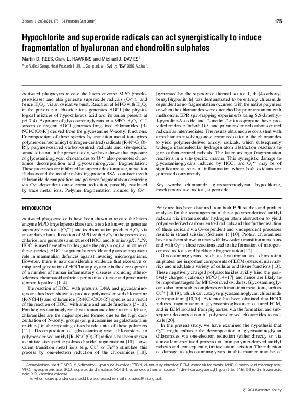 (PDF) Hypochlorite and superoxide radicals can act synergistically to ...