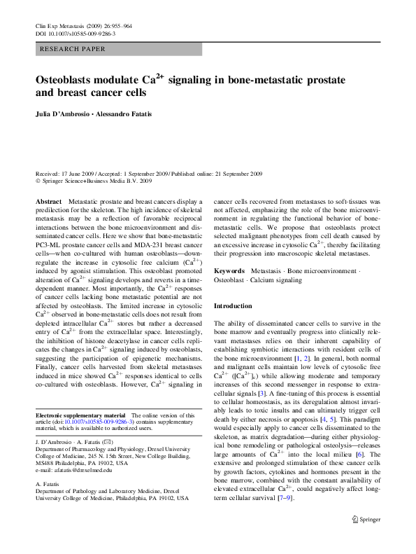 (PDF) Osteoblasts modulate Ca2+ signaling in bone-metastatic prostate ...