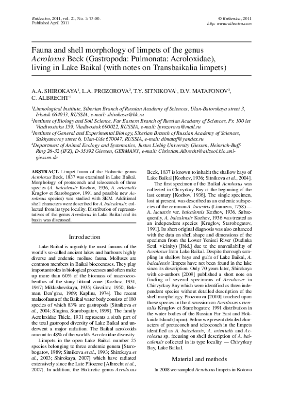 (PDF) Fauna and shell morphology of limpets of the genus Acroloxus Beck (Gastropoda: Pulmonata ...