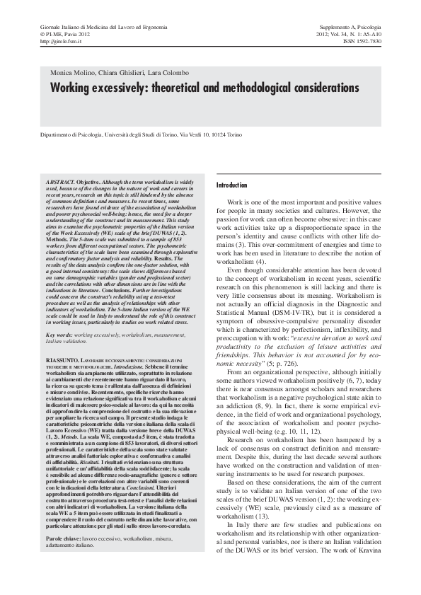 (PDF) Working excessively: theoretical and methodological considerations