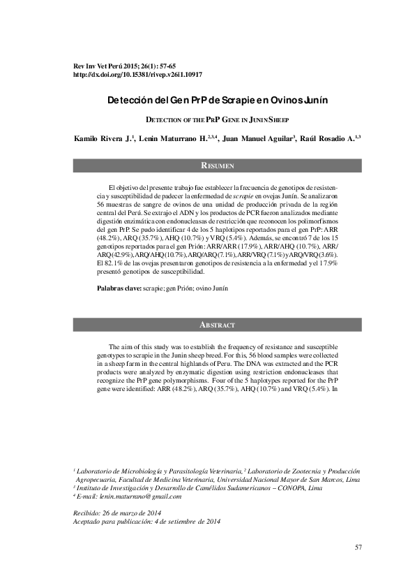 (PDF) Detección del Gen PrP de Scrapie en Ovinos Junín | Raul Rosadio A ...