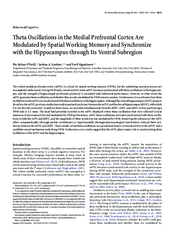 (PDF) Theta Oscillations in the Medial Prefrontal Cortex Are Modulated by Spatial Working Memory ...