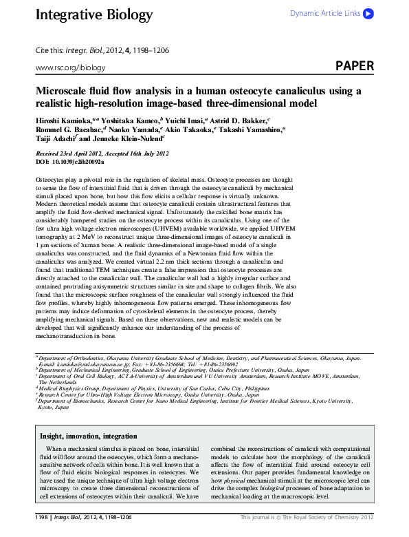 (PDF) Microscale fluid flow analysis in a human osteocyte canaliculus ...