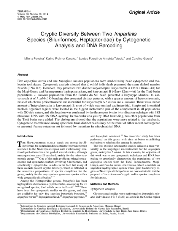 (PDF) Cryptic Diversity Between Two Imparfinis Species (Siluriformes ...