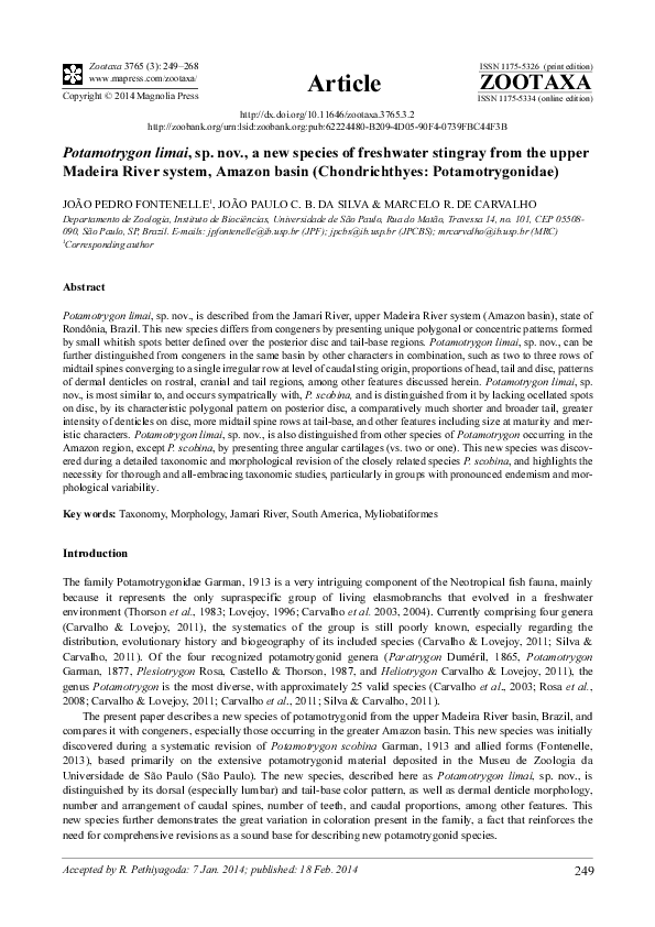(PDF) Potamotrygon limai, sp. nov., a new species of freshwater ...