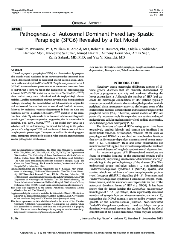 (PDF) Pathogenesis of Autosomal Dominant Hereditary Spastic Paraplegia ...