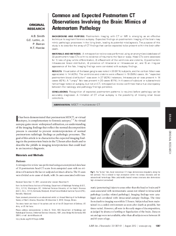 (PDF) Common and Expected Postmortem CT Observations Involving the ...