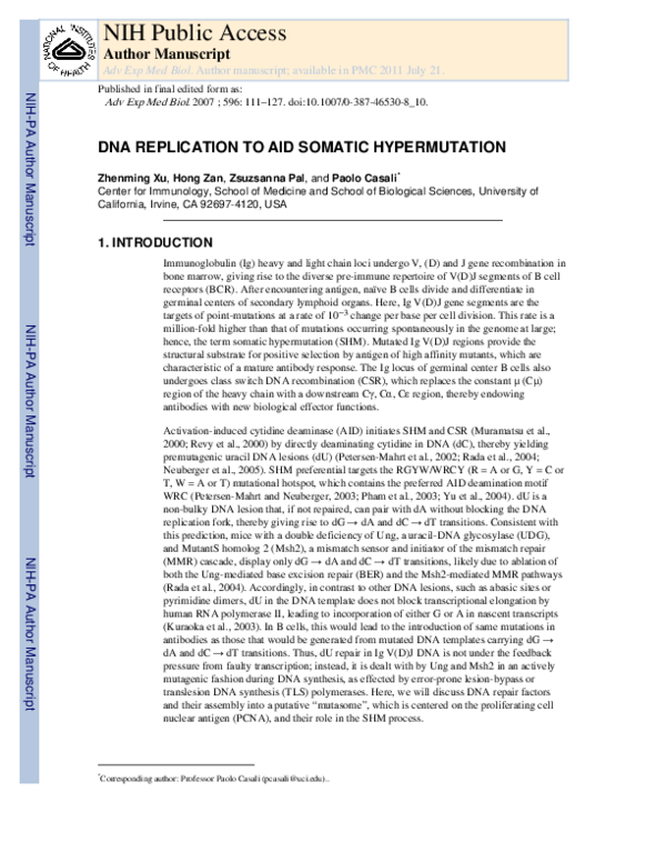 (PDF) DNA replication to aid somatic hypermutation