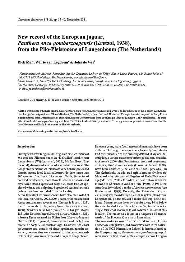 (PDF) New record of the European jaguar, Panthera onca gombaszoegensis ...