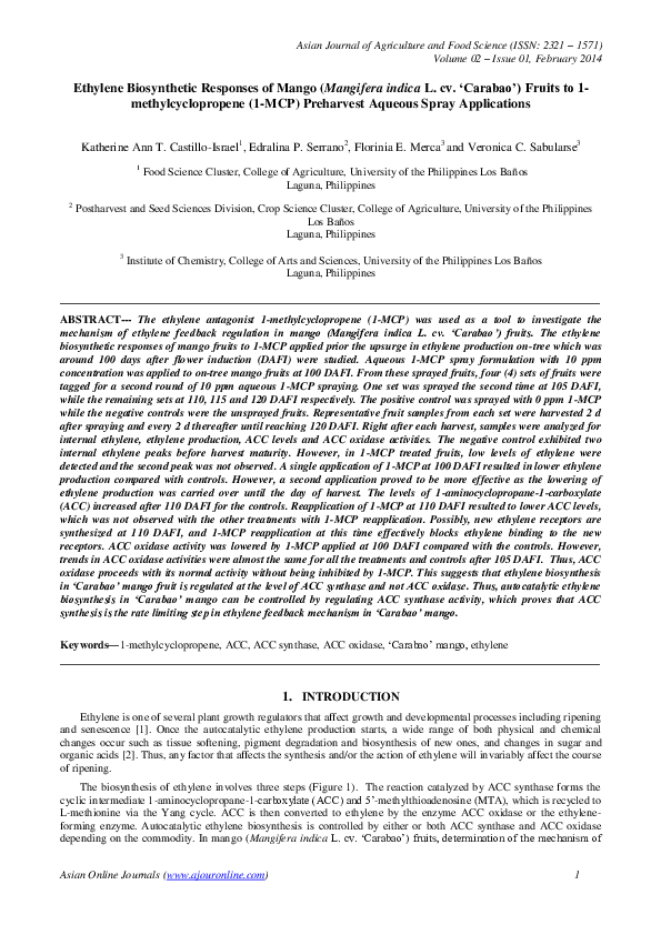 (PDF) Ethylene Biosynthetic Responses of Mango (Mangifera indica L. cv. ‘Carabao’) Fruits to 1 ...