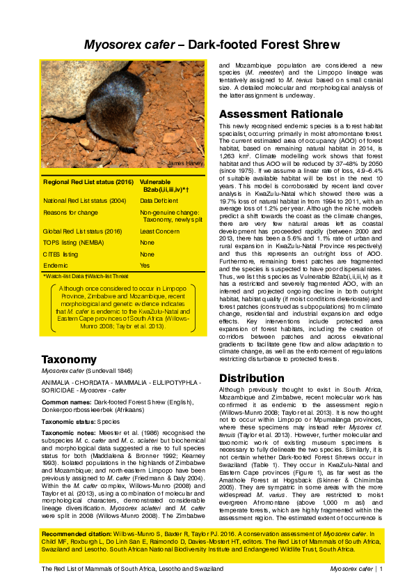 (PDF) Myosorex cafer – Dark-footed Forest Shrew