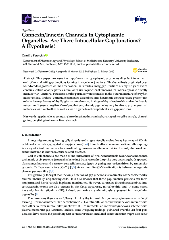 (PDF) Connexin/Innexin Channels in Cytoplasmic Organelles. Are There ...