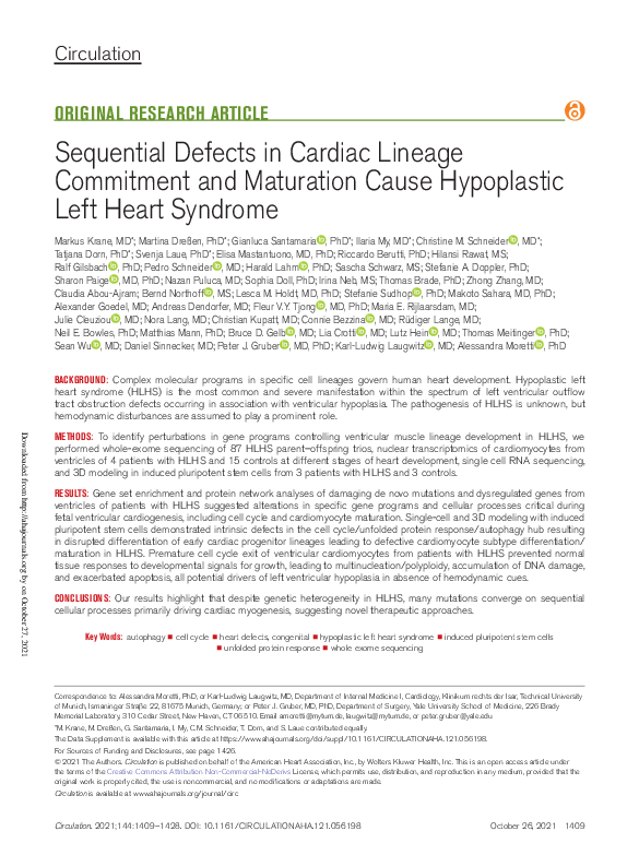 (PDF) Sequential Defects in Cardiac Lineage Commitment and Maturation ...