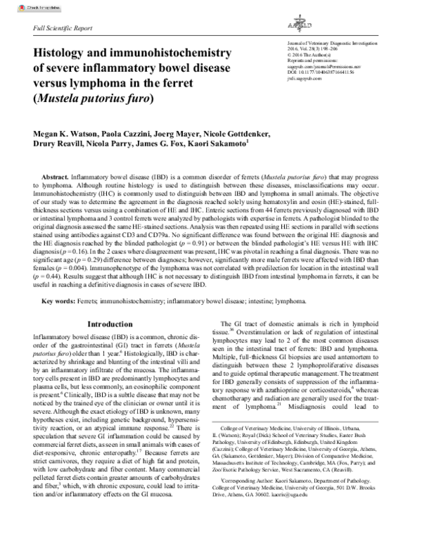 (PDF) Histology and immunohistochemistry of severe inflammatory bowel ...