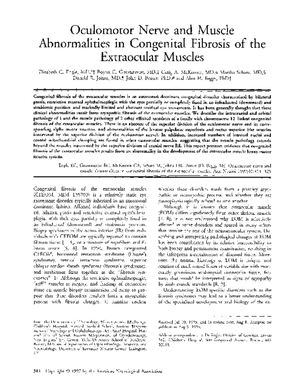 (PDF) Oculomotor nerve and muscle abnormalities in congenital fibrosis ...