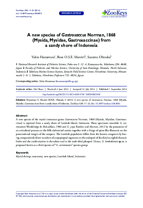 (PDF) A new species of Gastrosaccus Norman, 1868 (Mysida, Mysidae ...
