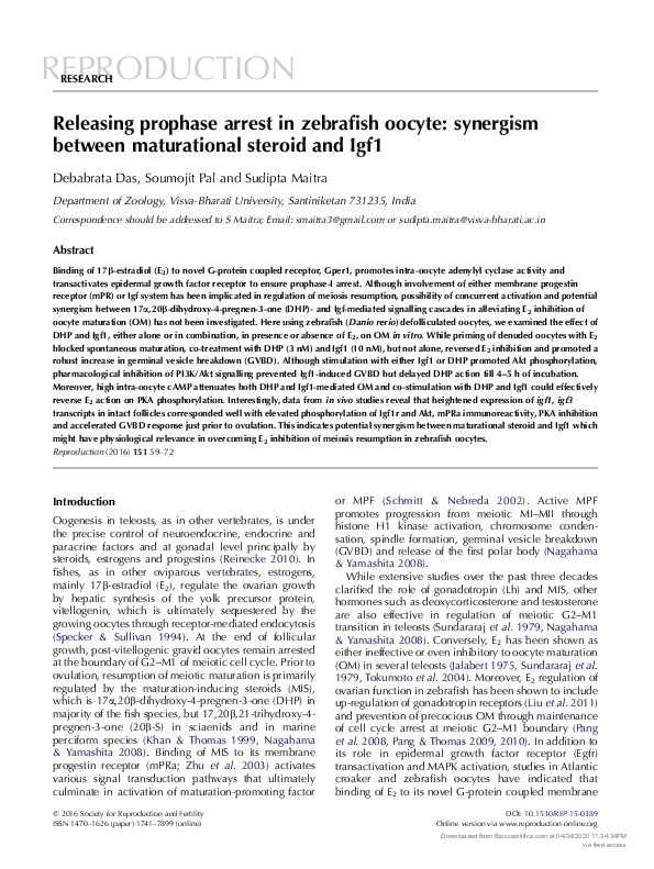(PDF) Releasing prophase arrest in zebrafish oocyte: synergism between ...
