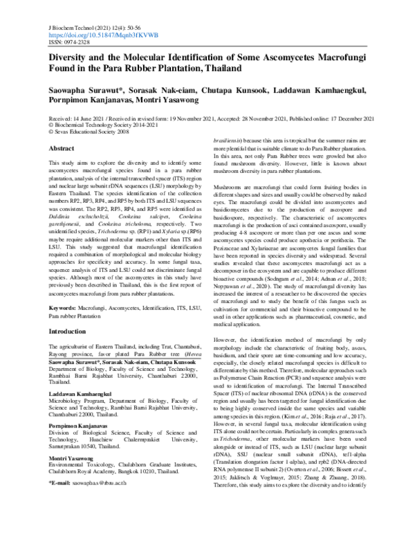 (PDF) Diversity and the Molecular Identification of Some Ascomycetes ...