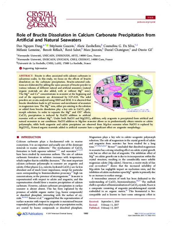(PDF) Role of Brucite Dissolution in Calcium Carbonate Precipitation ...