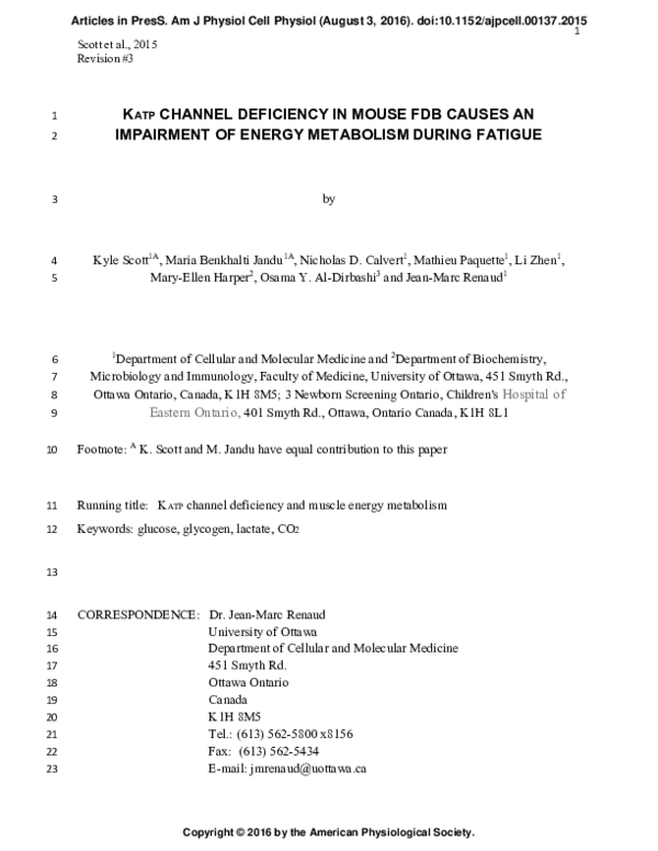 (PDF) Katpchannel Deficiency in Mouse FDB Causes an Impairment of ...