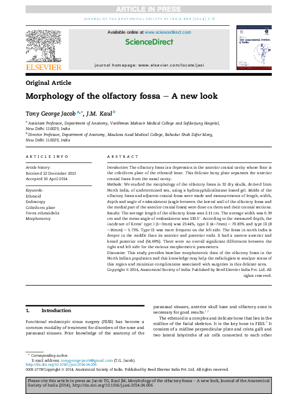 (PDF) Morphology of the olfactory fossa – A new look
