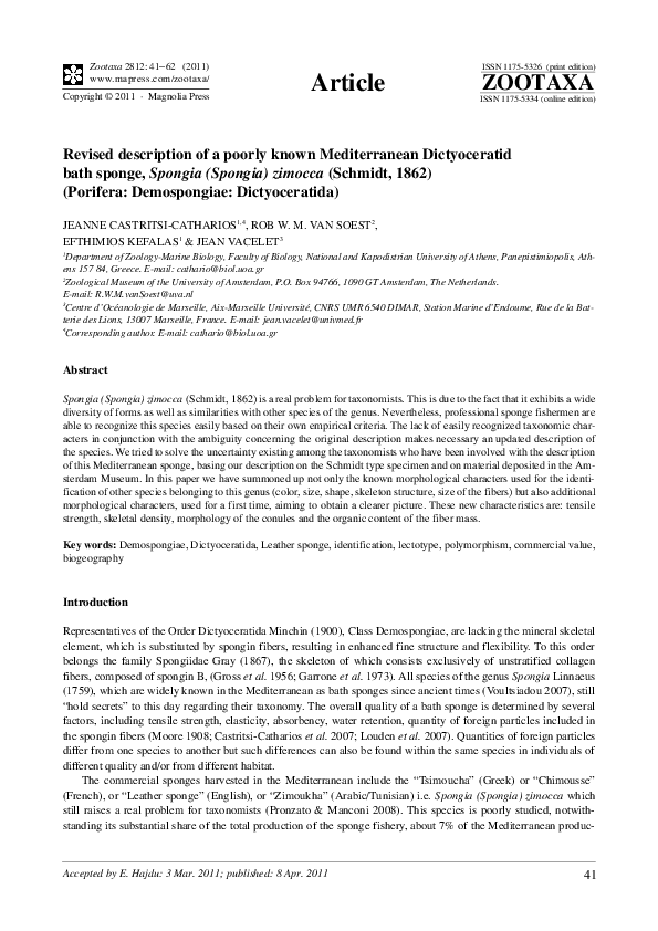 (PDF) Revised description of a poorly known Mediterranean Dictyoceratid ...