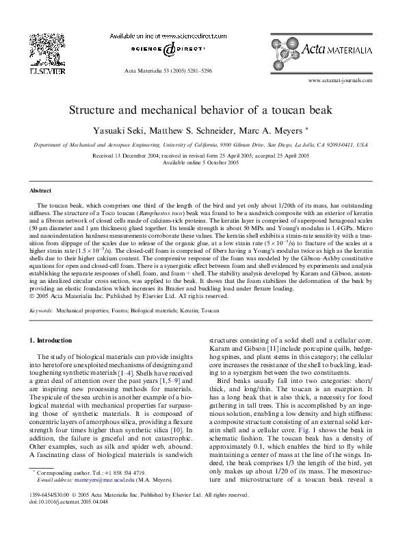 (PDF) Structure and mechanical behavior of a toucan beak