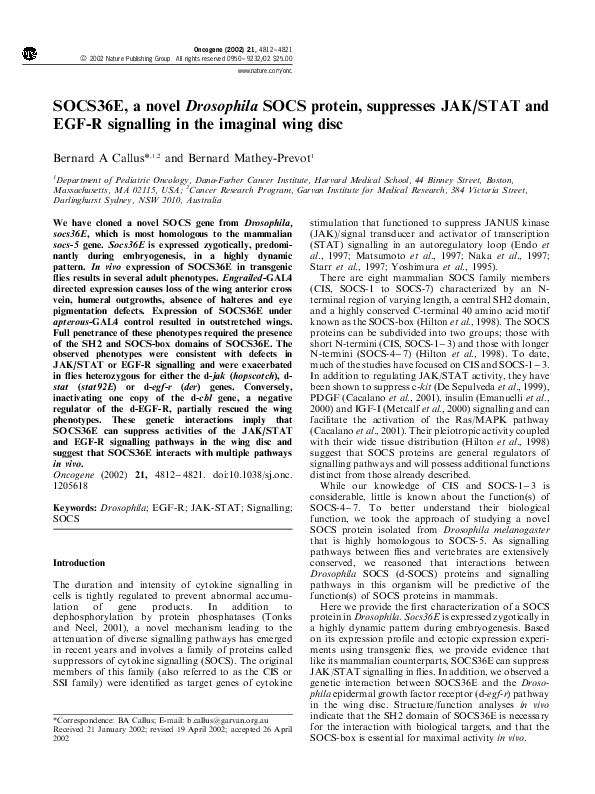(PDF) SOCS36E, a novel Drosophila SOCS protein, suppresses JAK/STAT and ...