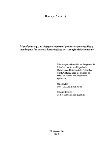 (PDF) Manufacturing and characterization of porous SiC for flow channel ...