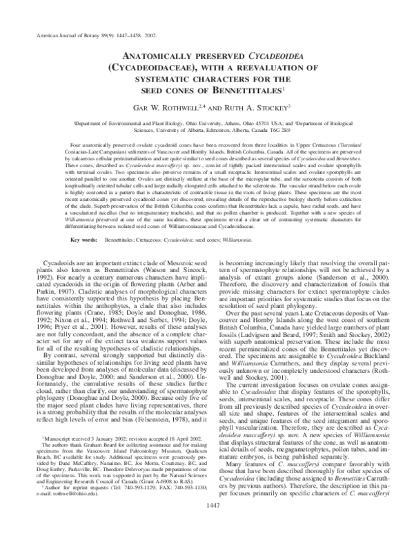 (PDF) Anatomically preserved Cycadeoidea (Cycadeoidaceae), with a ...