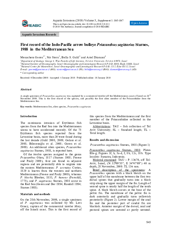 (PDF) First record of the Indo-Pacific arrow bulleye Priacanthus ...