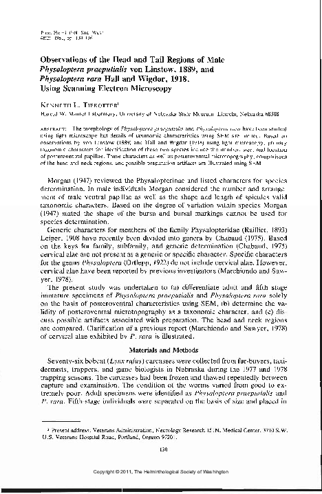 (PDF) Observations of the head and tail regions of male Physaloptera ...