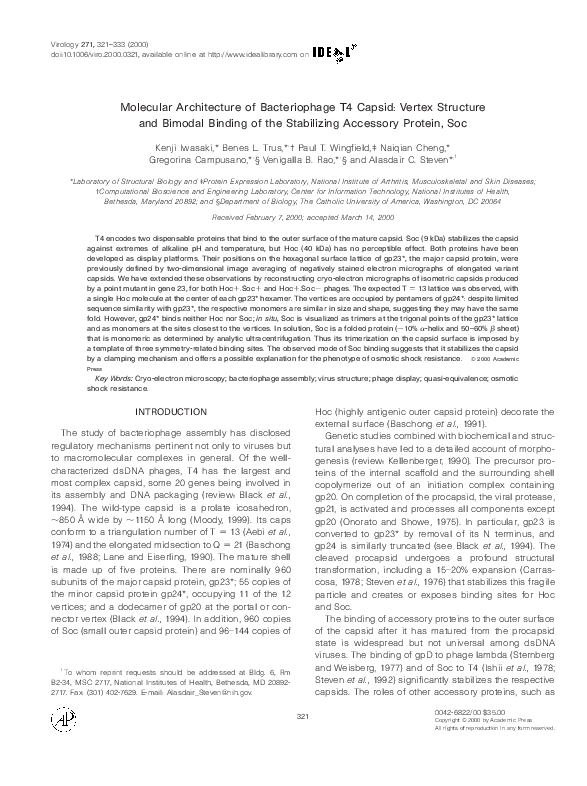 (PDF) Molecular Architecture of Bacteriophage T4 Capsid: Vertex ...
