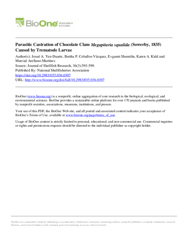 (PDF) Parasitic Castration of Chocolate Clam Megapitaria squalida ...