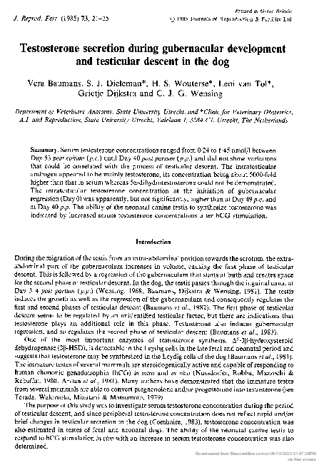 (PDF) Testosterone secretion during gubernacular development and ...