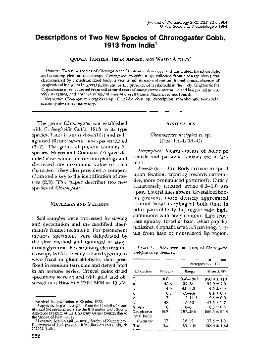 (PDF) Descriptions of two new species of chronogaster cobb, 1913 from India