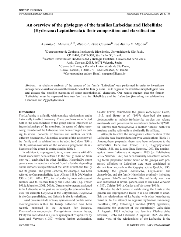 (PDF) An overview of the phylogeny of the families Lafoeidae and ...