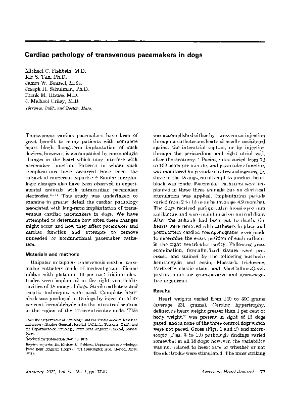 (PDF) Cardiac pathology of transvenous pacemakers in dogs