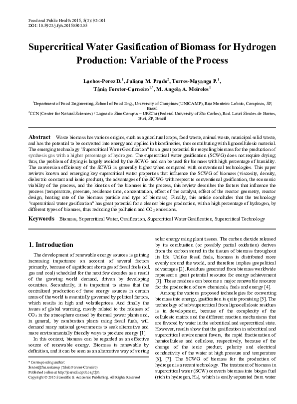 (PDF) Supercritical water gasification of biomass for H2 production ...