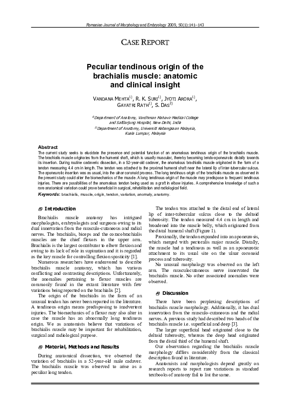 (PDF) Peculiar tendinous origin of the brachialis muscle: anatomic and ...