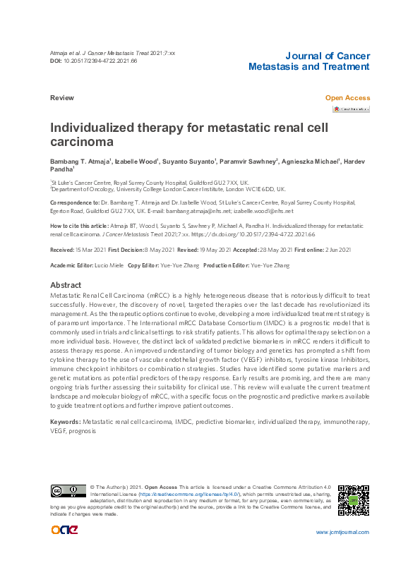 (PDF) Individualized therapy for metastatic renal cell carcinoma ...