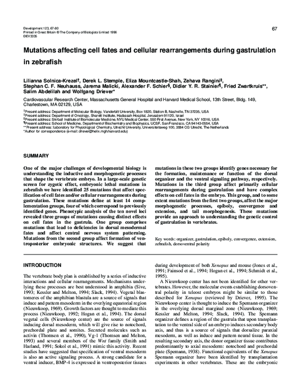 (PDF) Mutations affecting cell fates and cellular rearrangements during ...