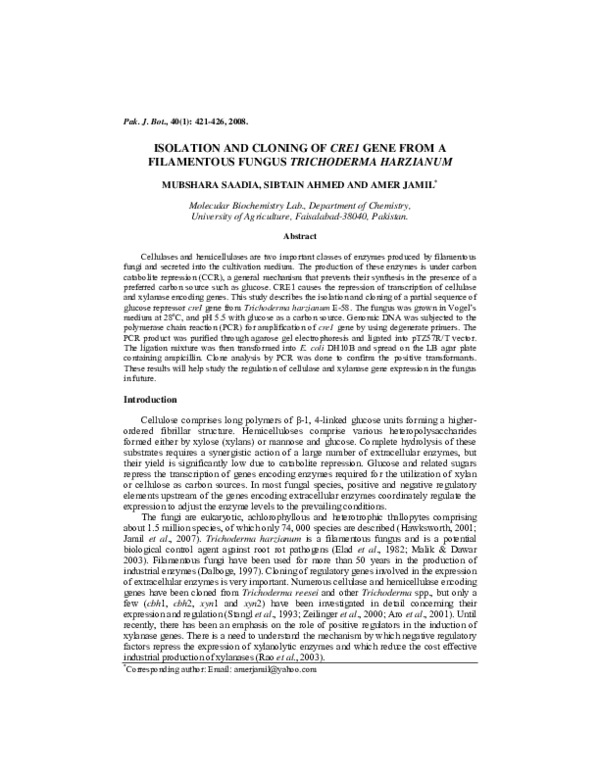 (PDF) Isolation and cloning of cre1 gene from a filamentous fungus Trichoderma harzianum