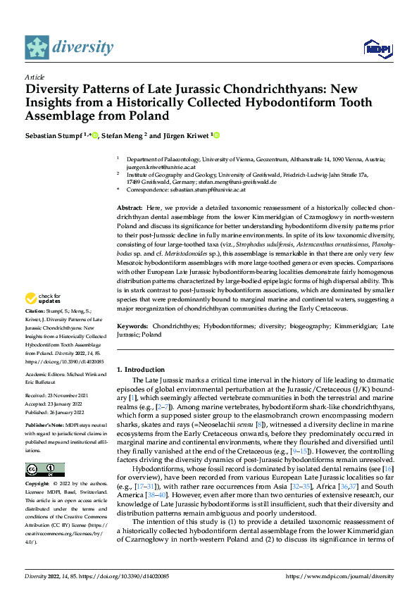 (PDF) Diversity Patterns of Late Jurassic Chondrichthyans: New Insights ...