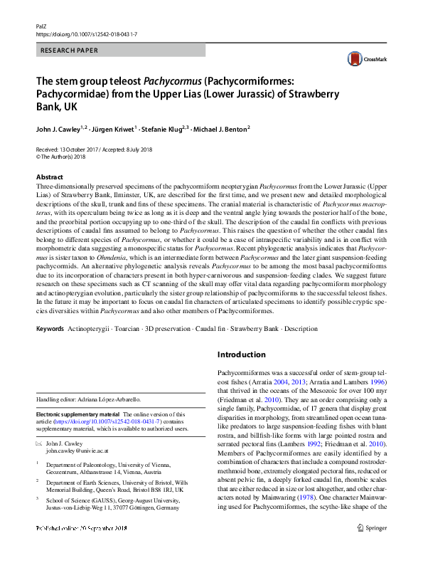 (PDF) The stem group teleost Pachycormus (Pachycormiformes ...