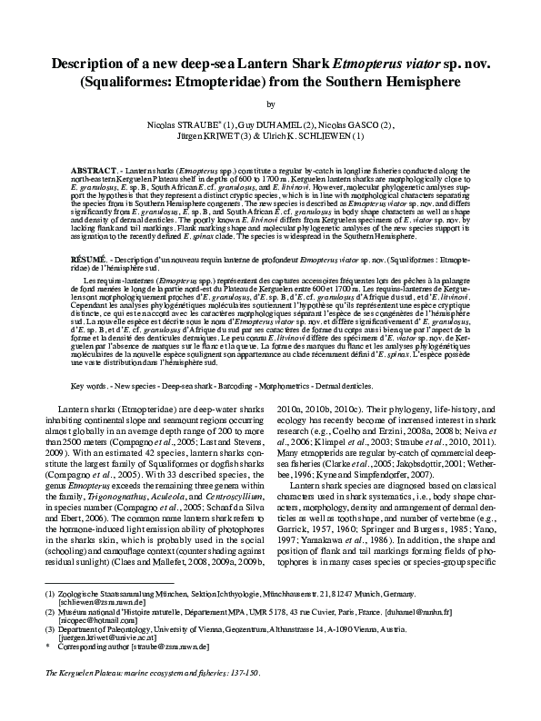 (PDF) Description of a new deep-sea Lantern Shark Etmopterus viator sp ...