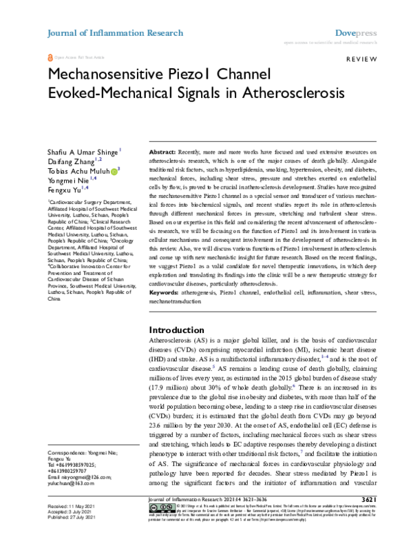 (PDF) Mechanosensitive Piezo1 Channel Evoked-Mechanical Signals in Atherosclerosis
